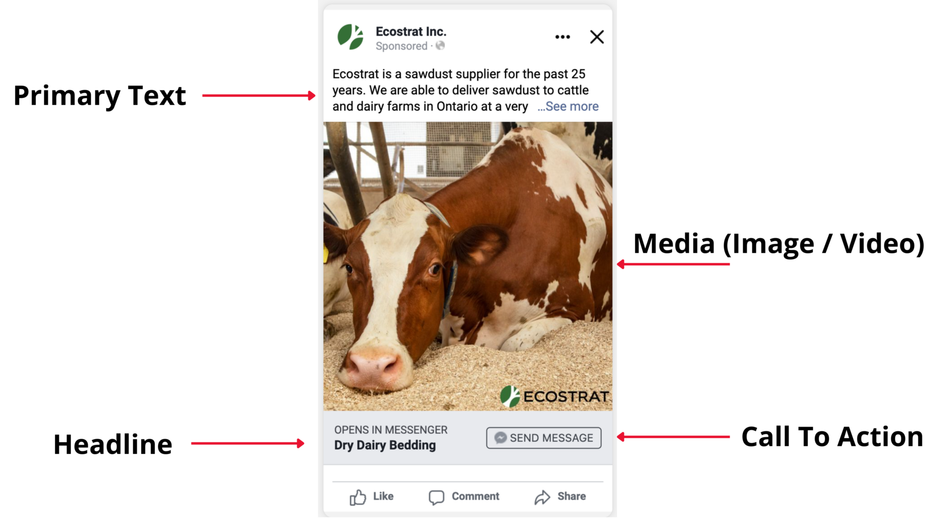 Getting Started With Meta (Facebook & Instagram) Ads - Going Social